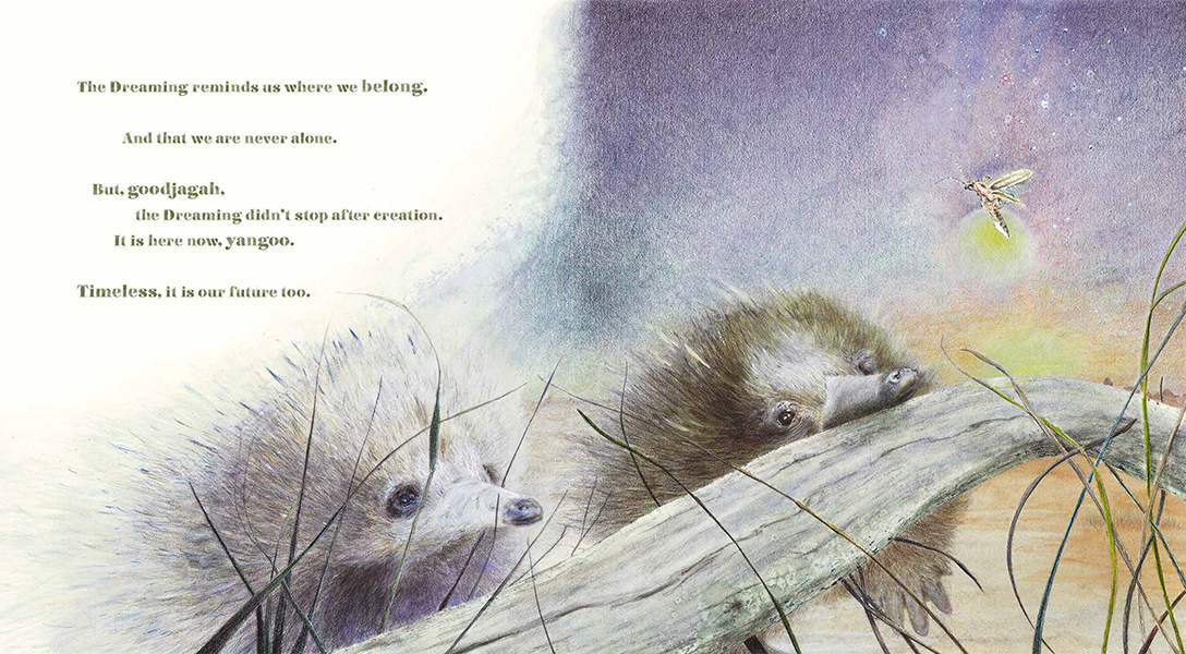 Our Dreaming by Kirli Saunders | 9781742995113 | Booktopia