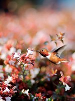 Lonely Planet's Beautiful World, Sublime Photography of the World's ...