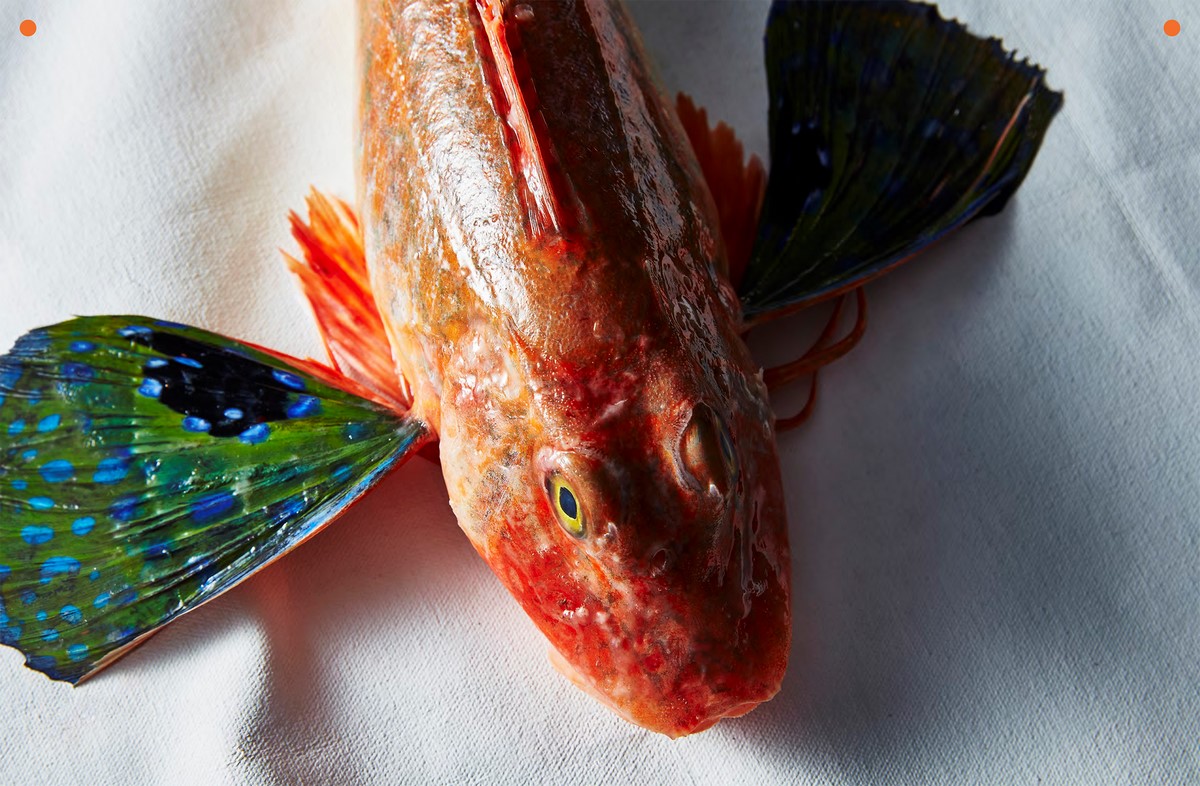 Take One Fish, The New School of Scale-to-Tail Cooking and Eating by ...