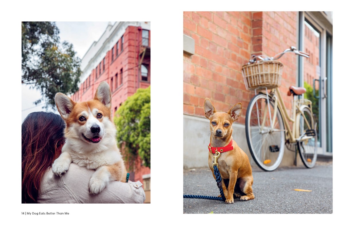 My Dog Eats Better Than Me, Recipes Your Dog Will Love by Fiona Rigg ...