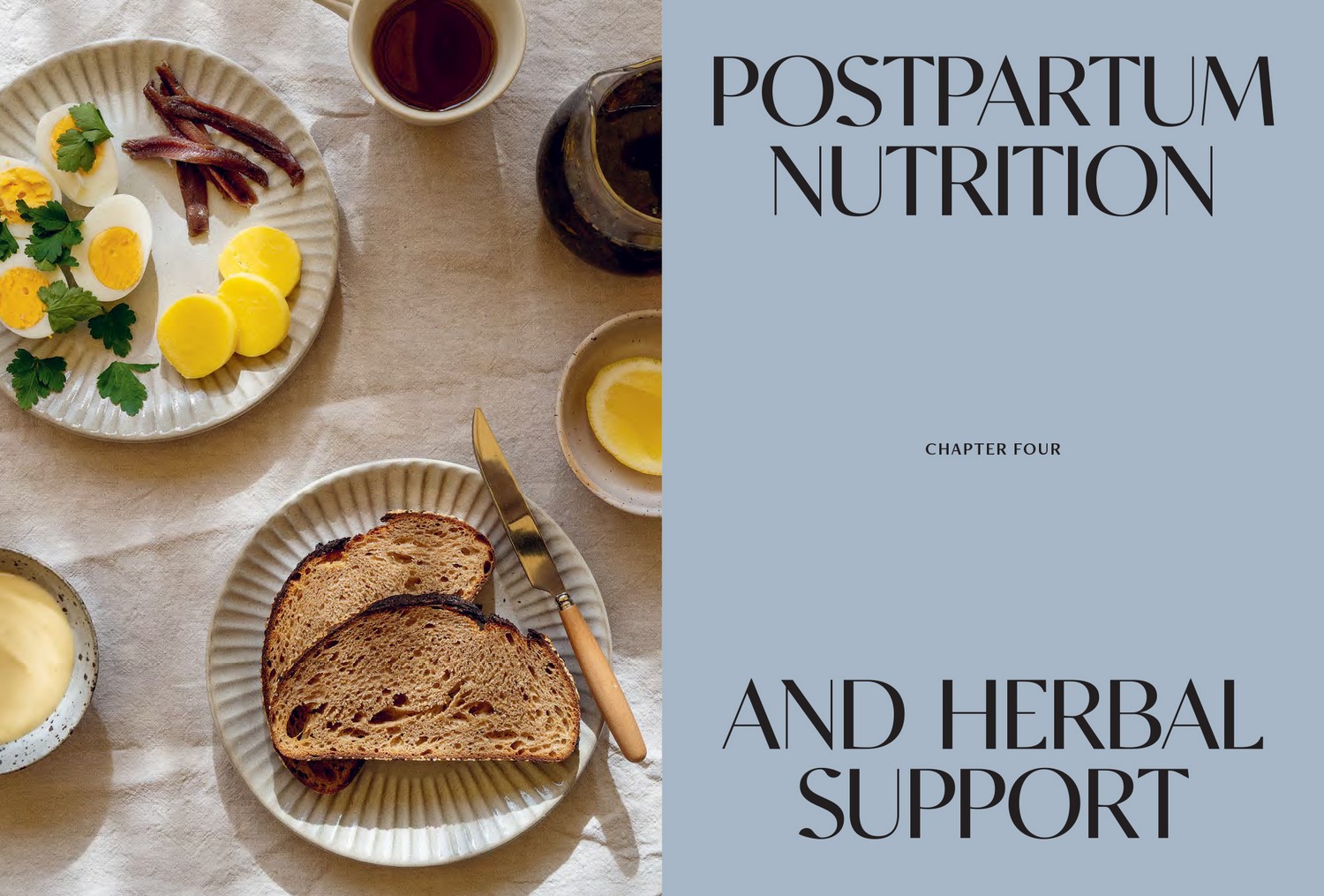 Life After Birth by Jessica Prescott | A Guide to Prepare, Support and ...