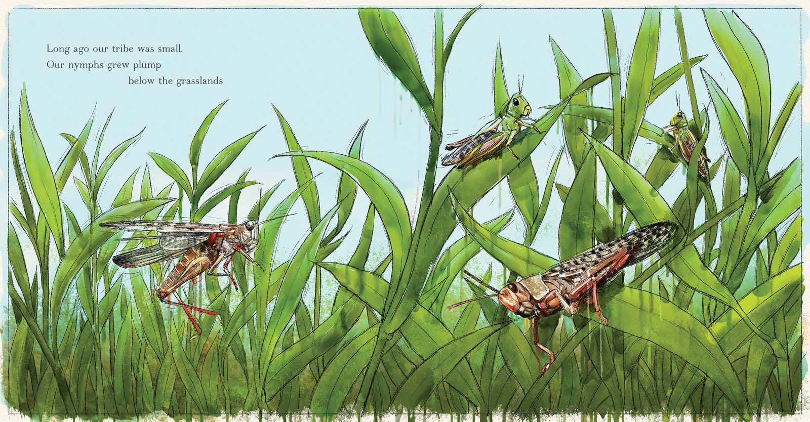 Plague by Jackie French | 9781743834824 | Booktopia