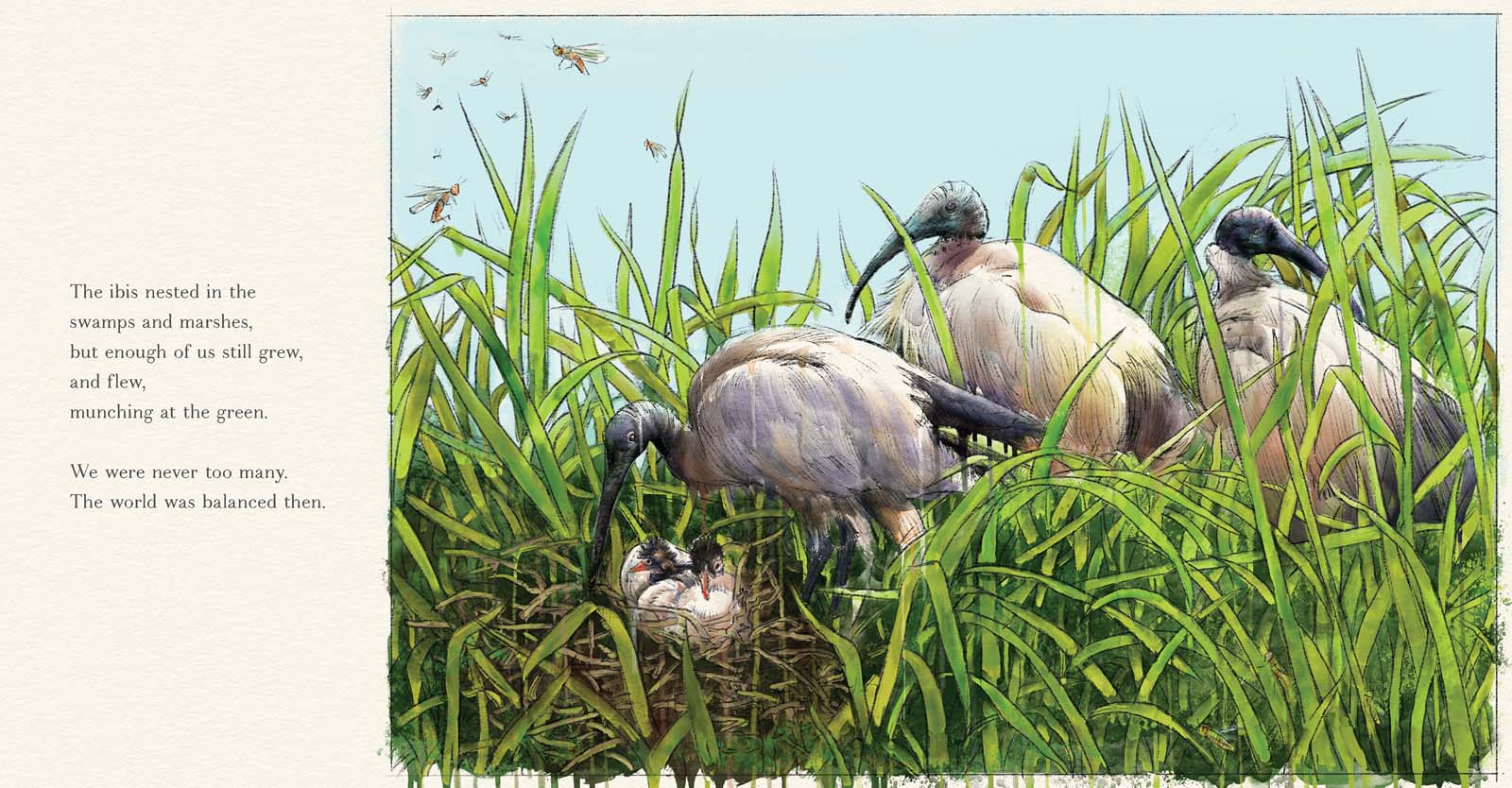 Plague by Jackie French | 9781743834824 | Booktopia