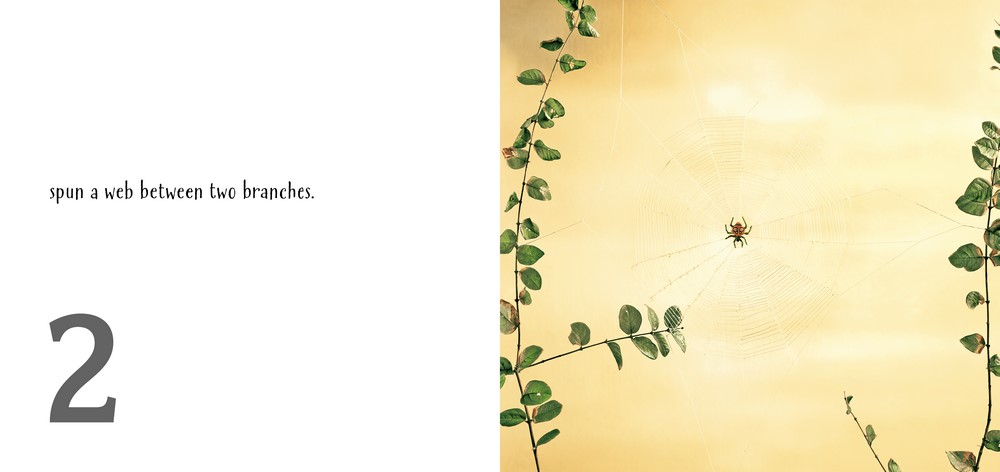 One Hungry Spider (35th Anniversary Edition) by Jeannie Baker ...