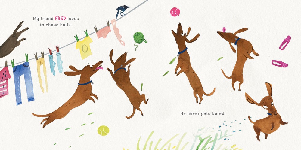 My Friend Fred by A. Yi | Winner of the 2020 CBCA Awards Book of the ...