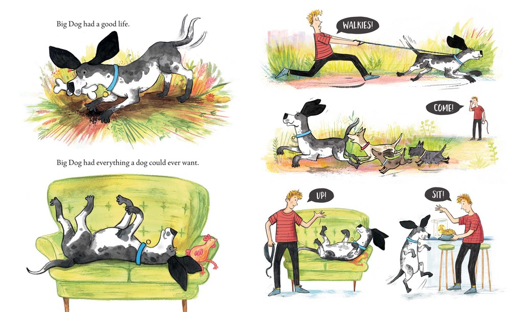 Big Dog, Little Dog, Big Dog Little Dog by Sally Rippin | 9781760506117 ...