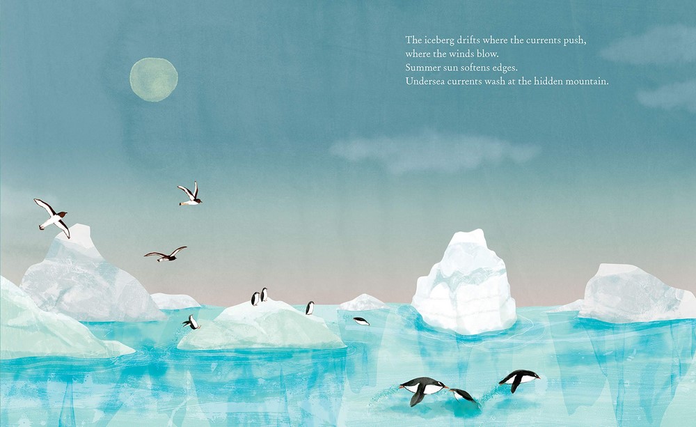 Iceberg, CBCA Winner Children's Picture Book 2022 by Claire Saxby ...