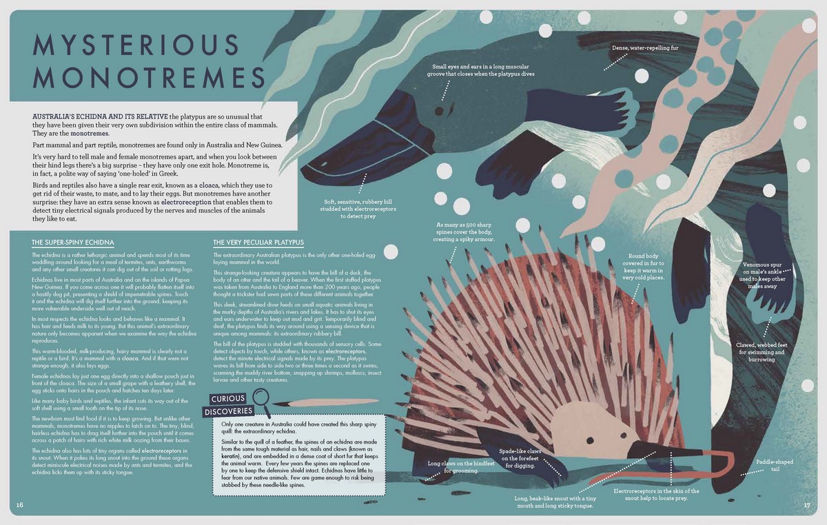 Wild Australian Life by Leonard Cronin | 9781760637224 | Booktopia