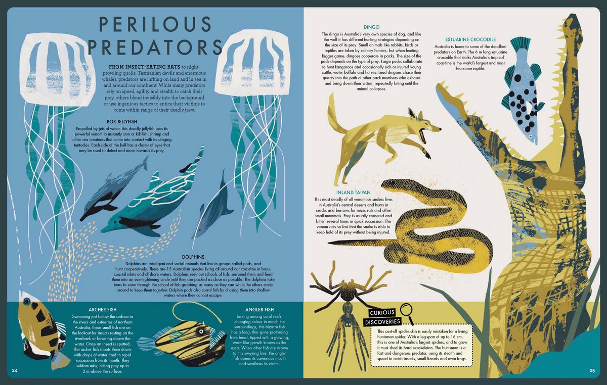 Wild Australian Life by Leonard Cronin | 9781760637224 | Booktopia