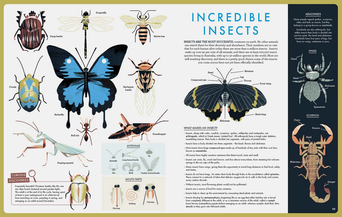 Wild Australian Life by Leonard Cronin | 9781760637224 | Booktopia