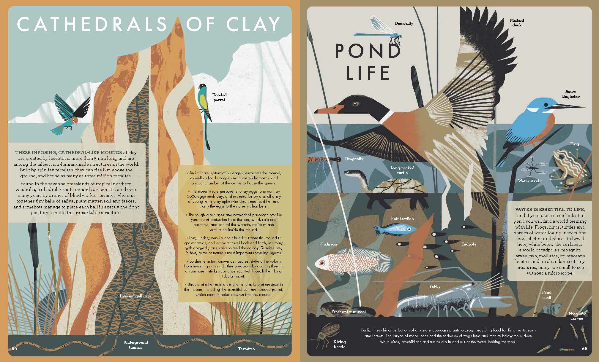 Wild Australian Life by Leonard Cronin | 9781760637224 | Booktopia