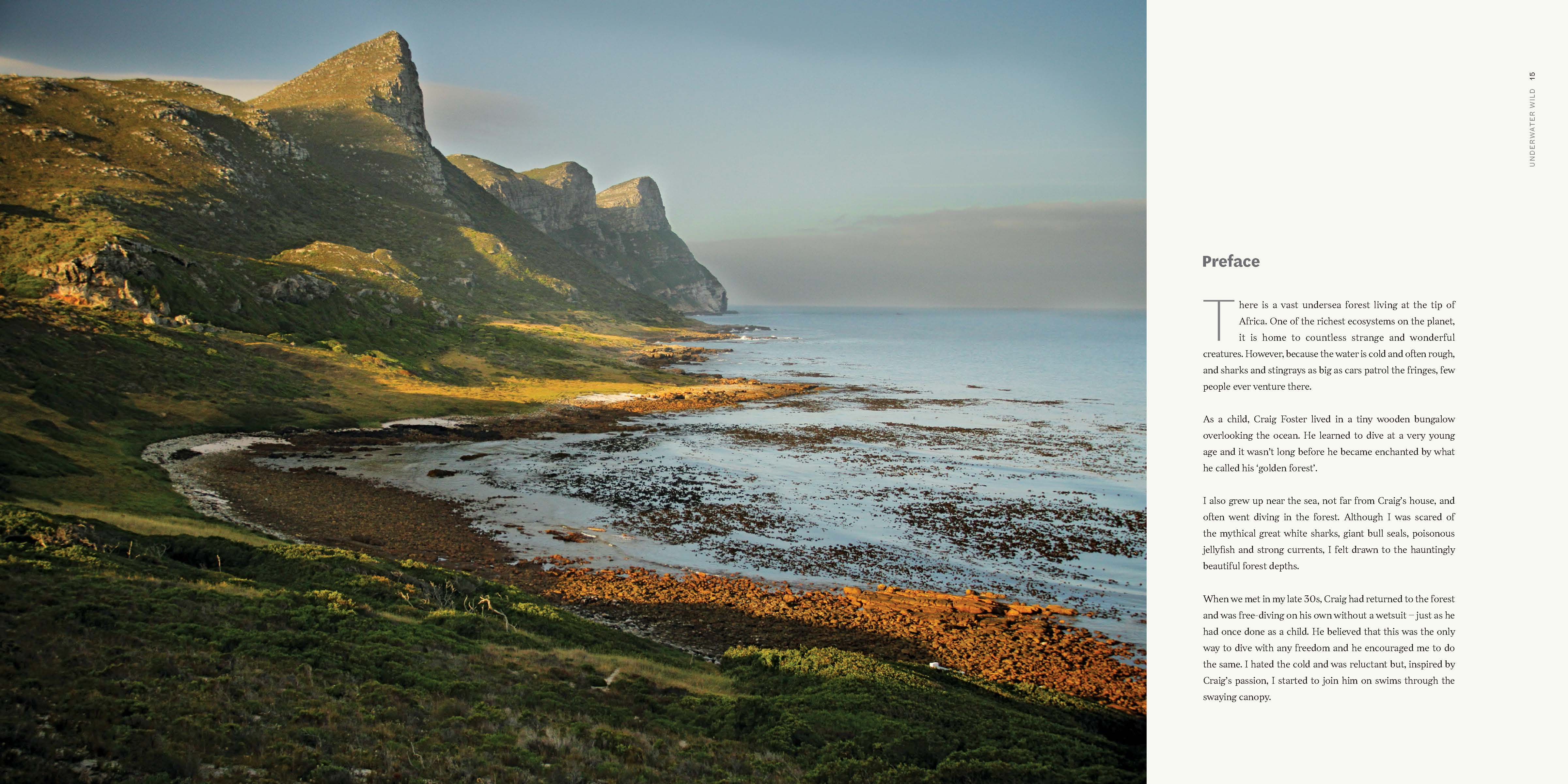 Underwater Wild, My Octopus Teacher's Extraordinary World by Craig ...