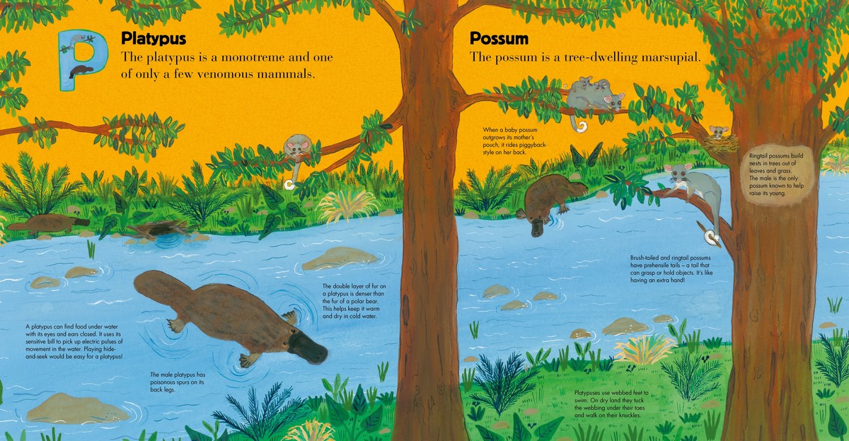 A Is for Australian Animals by Frané Lessac | 9781760650940 | Booktopia