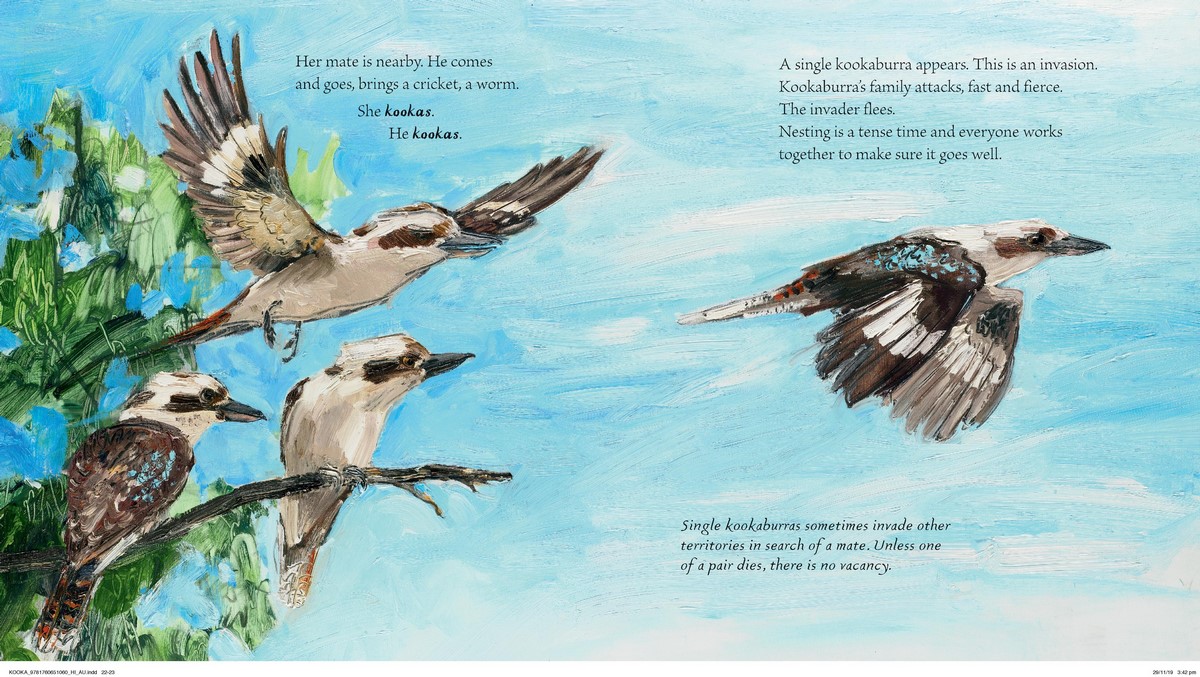 Kookaburra, Nature Storybooks by Claire Saxby | 9781760651060 | Booktopia