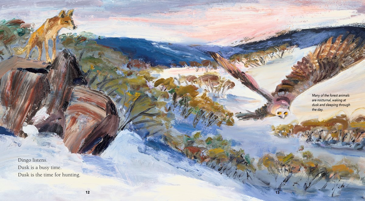 Dingo, Nature Storybooks by Claire Saxby | 9781760651565 | Booktopia