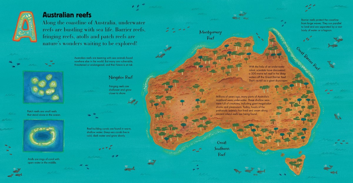 A Is for Australian Reefs by Frané Lessac | 9781760652258 | Booktopia