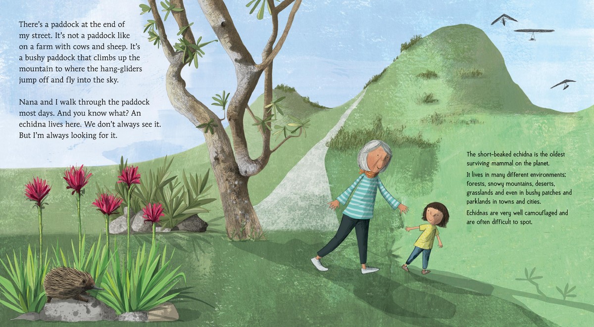 The Echidna Near My Place, Nature Storybooks by Sue Whiting ...