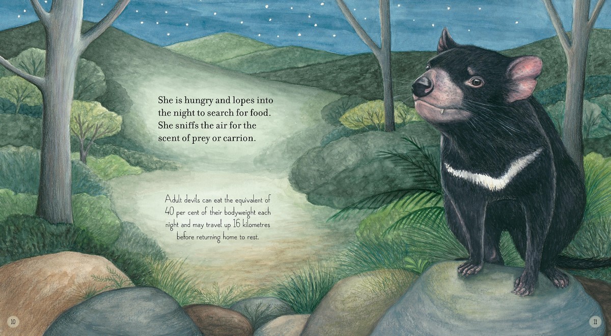 Tasmanian Devil, Nature Storybooks by Claire Saxby | 9781760652418 ...