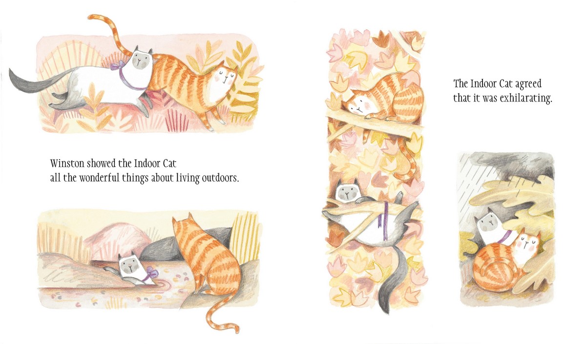 Winston and the Indoor Cat, CBCA's Shortlist Early Childhood 2022 by ...