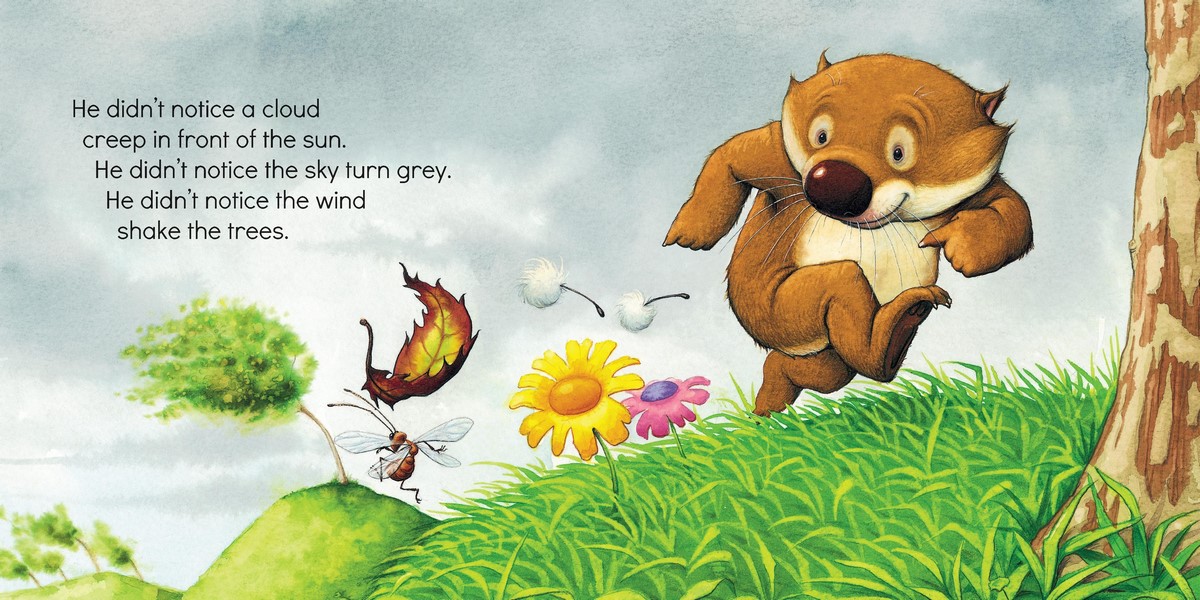 Found You, Little Wombat!, Little Wombat by Angela McAllister ...