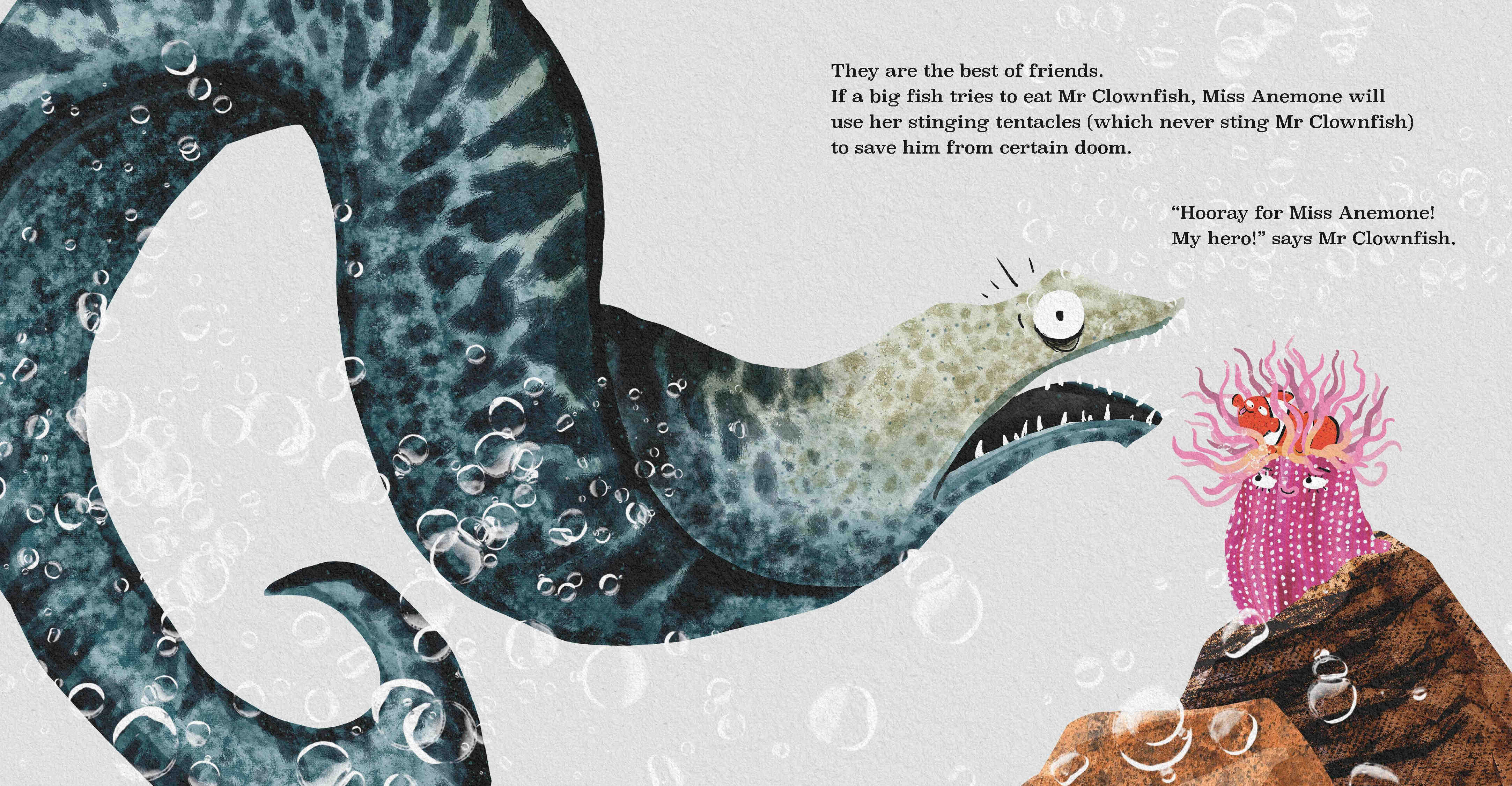 Mr Clownfish, Miss Anemone and the Hermit Crab by Sean E Avery ...