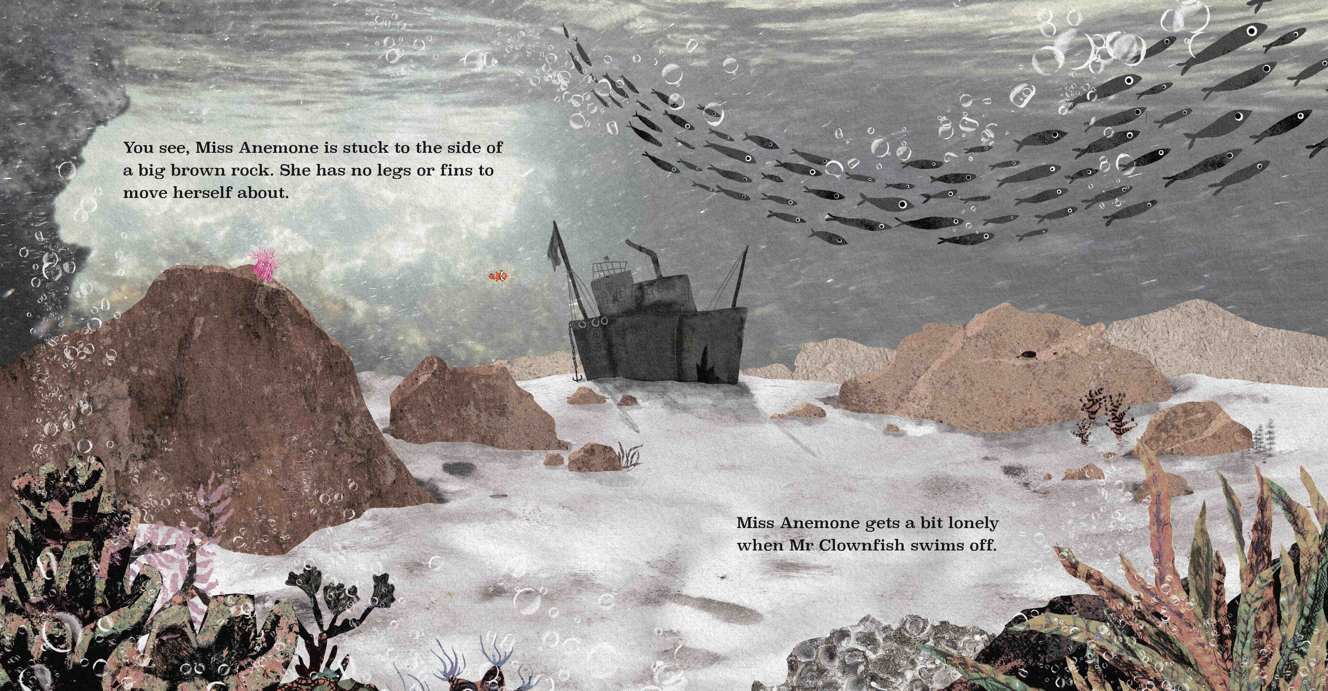 Mr Clownfish, Miss Anemone and the Hermit Crab by Sean E Avery ...