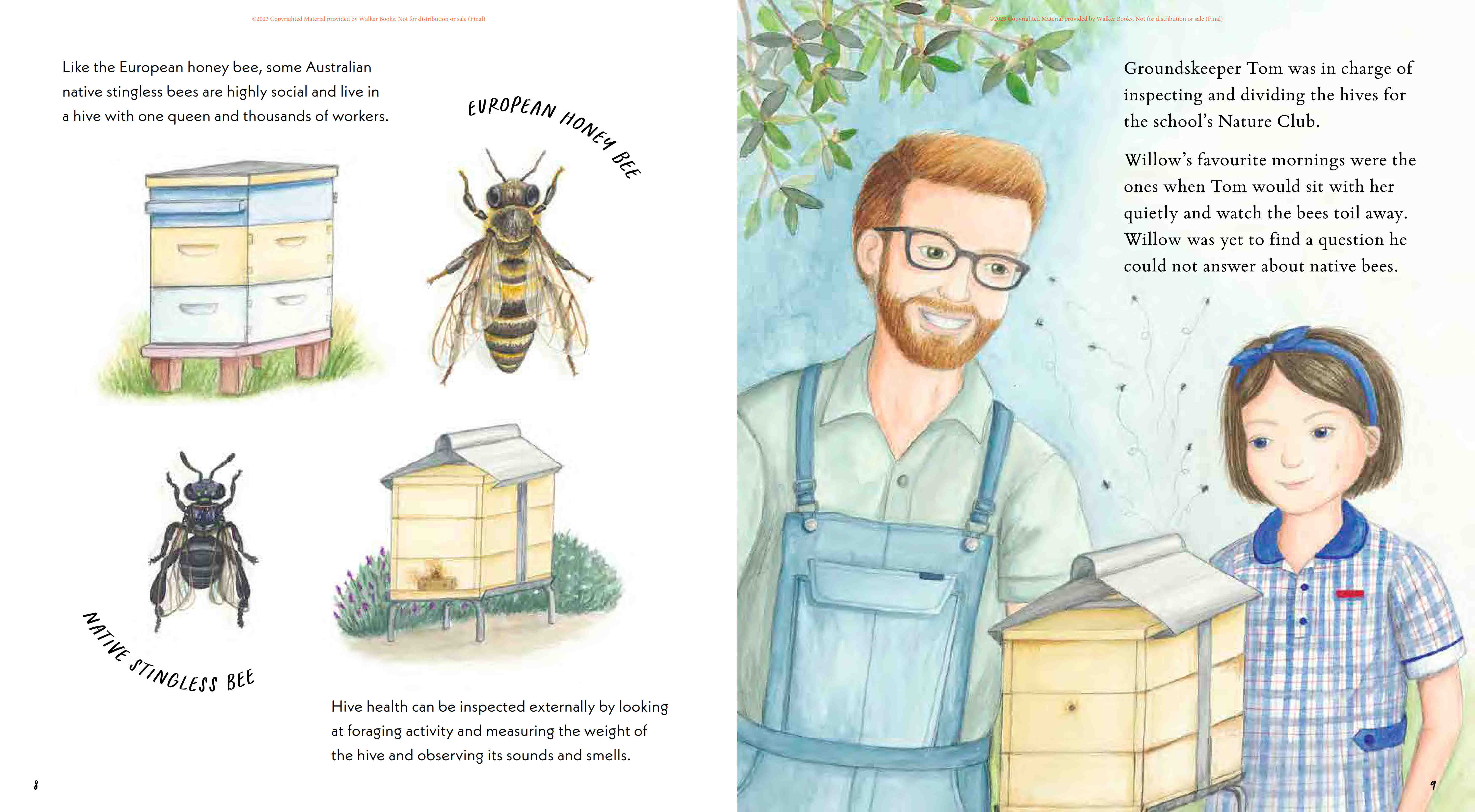 The Beehive, Nature Storybooks by Megan Daley | 9781760655228 | Booktopia