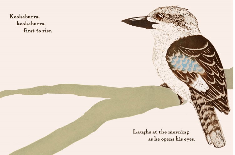 Kookaburra Kookaburra by Bridget Farmer | 9781760760281 | Booktopia