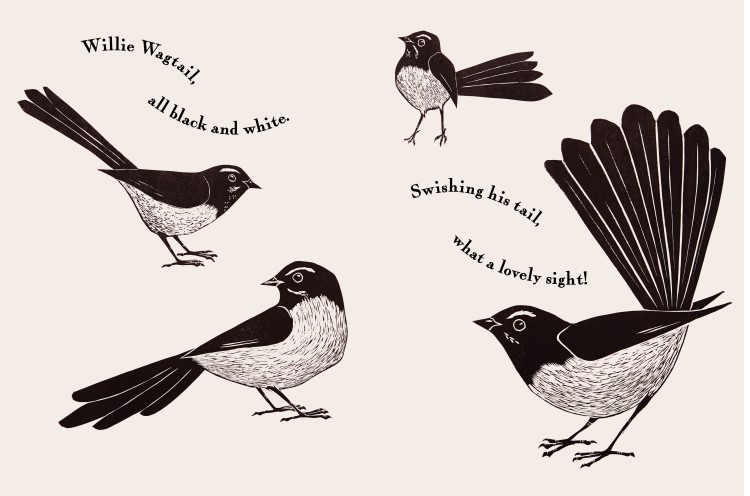 Kookaburra Kookaburra by Bridget Farmer | 9781760760281 | Booktopia