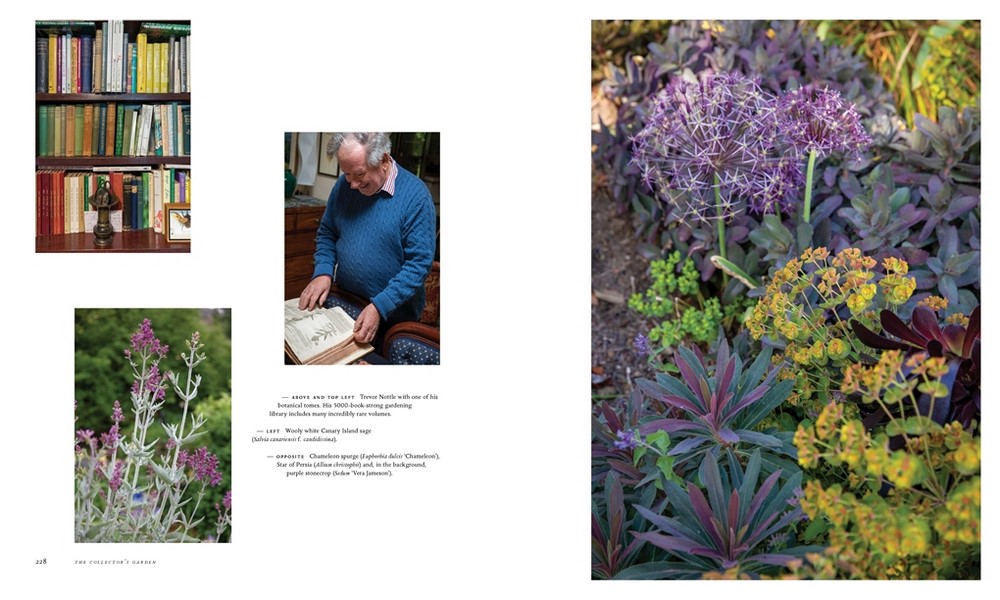 Adelaide Hills Gardens by Christine McCabe | 9781760760601 | Booktopia