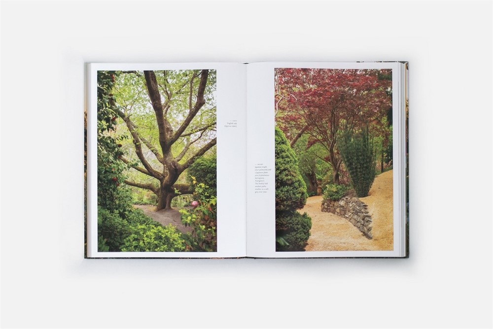 Adelaide Hills Gardens by Christine McCabe | 9781760760601 | Booktopia