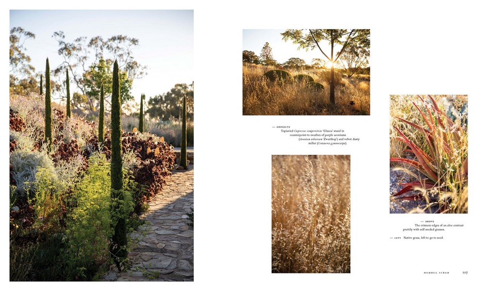 Adelaide Hills Gardens by Christine McCabe | 9781760760601 | Booktopia