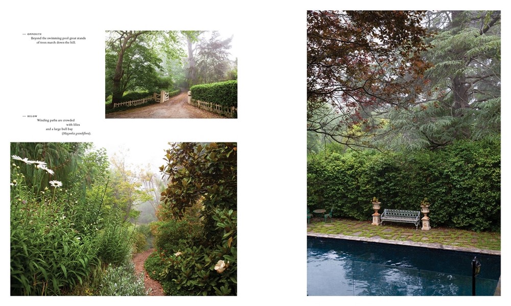 Adelaide Hills Gardens by Christine McCabe | 9781760760601 | Booktopia