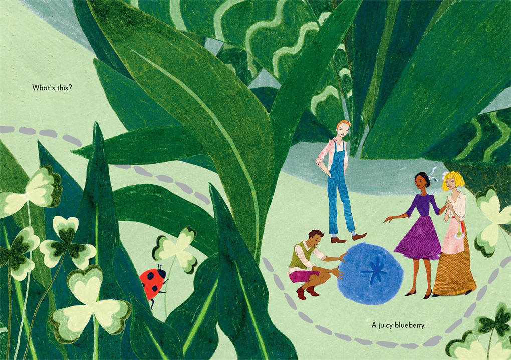 The Tiny Explorers, Tiny Professions by Kat Macleod | 9781760761158 ...