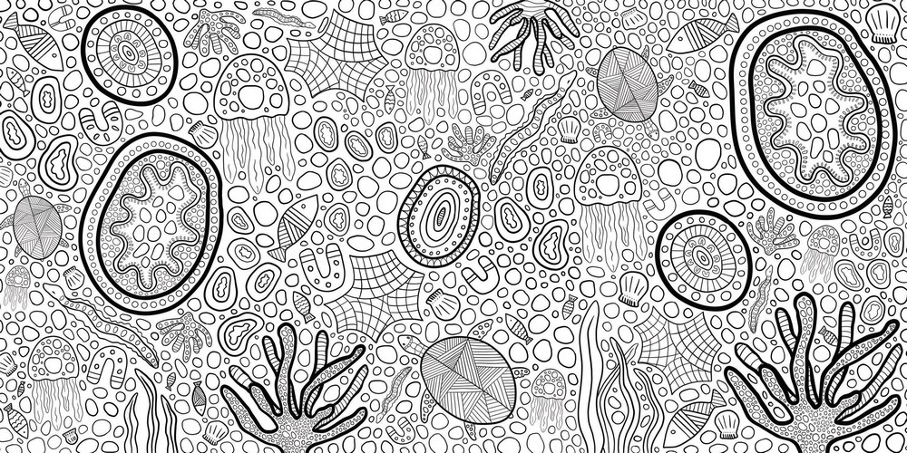 Mulganai, A First Nations Colouring Book by Emma Hollingsworth ...