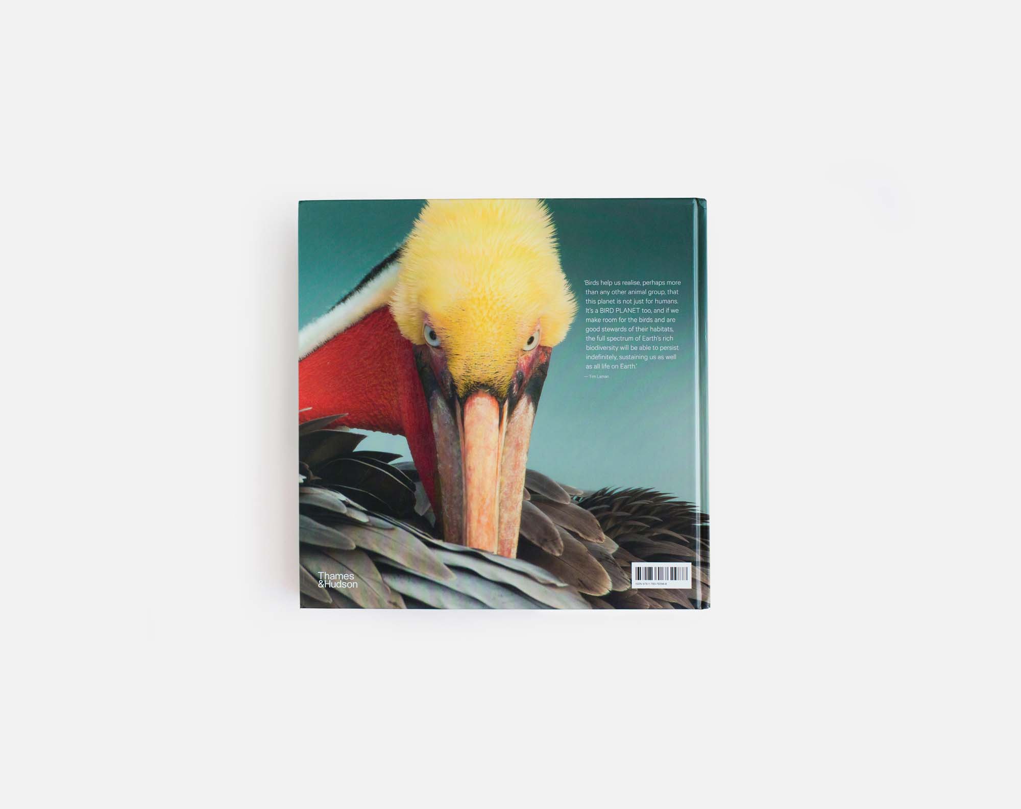 Bird Planet by Tim Laman | 9781760762988 | Booktopia