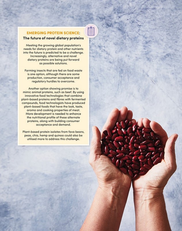 CSIRO Protein Plus by Jane Bowen | 9781760781781 | Booktopia