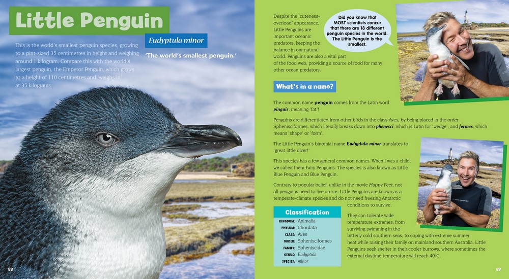 Incredible Coastal Critters by Chris Humfrey | The fascinating wildlife ...