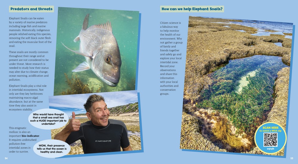 Incredible Coastal Critters by Chris Humfrey | The fascinating wildlife ...