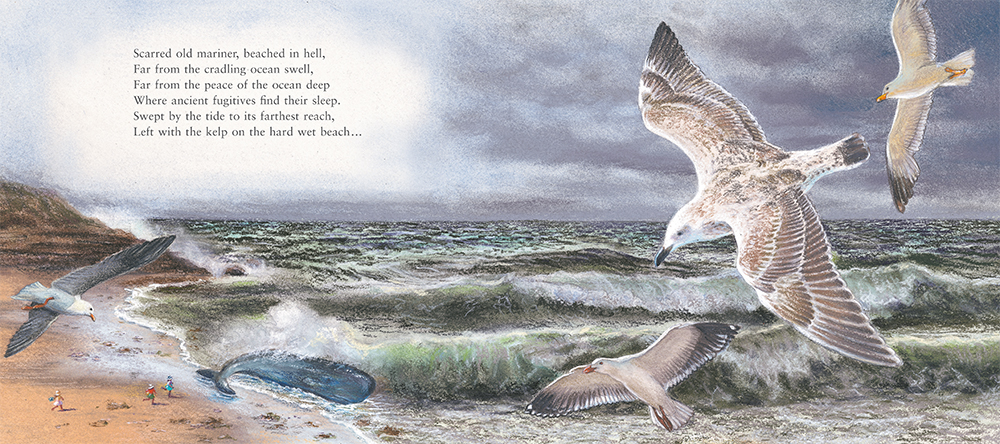 Storm Whale by Sarah Brennan | 9781760875442 | Booktopia