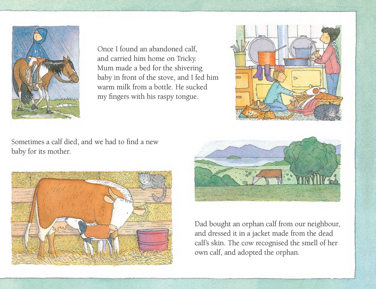 My Farm 30th Anniversary edition by Alison Lester | 9781760878290 ...