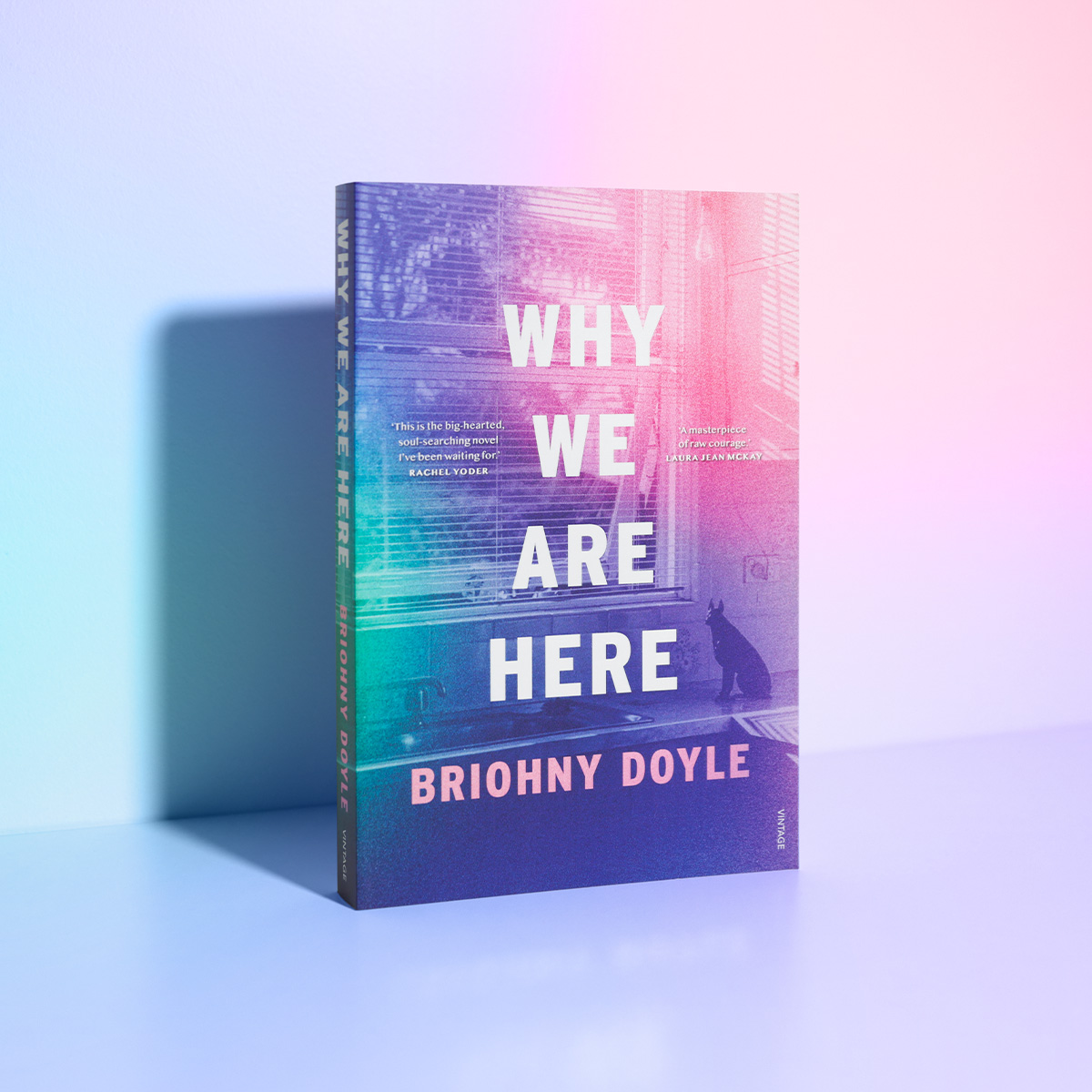 Why We Are Here by Briohny Doyle | 9781760899639 | Booktopia
