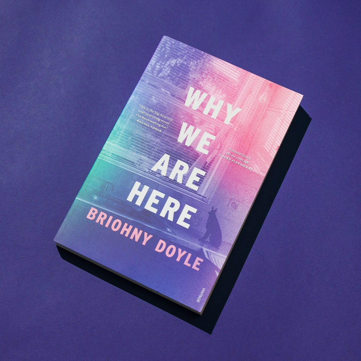 Why We Are Here by Briohny Doyle | 9781760899639 | Booktopia