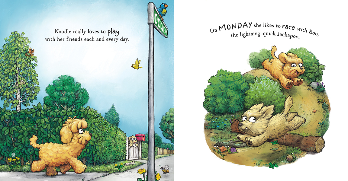 Noodle the Cavoodle by Louis Shea | 9781760970604 | Booktopia