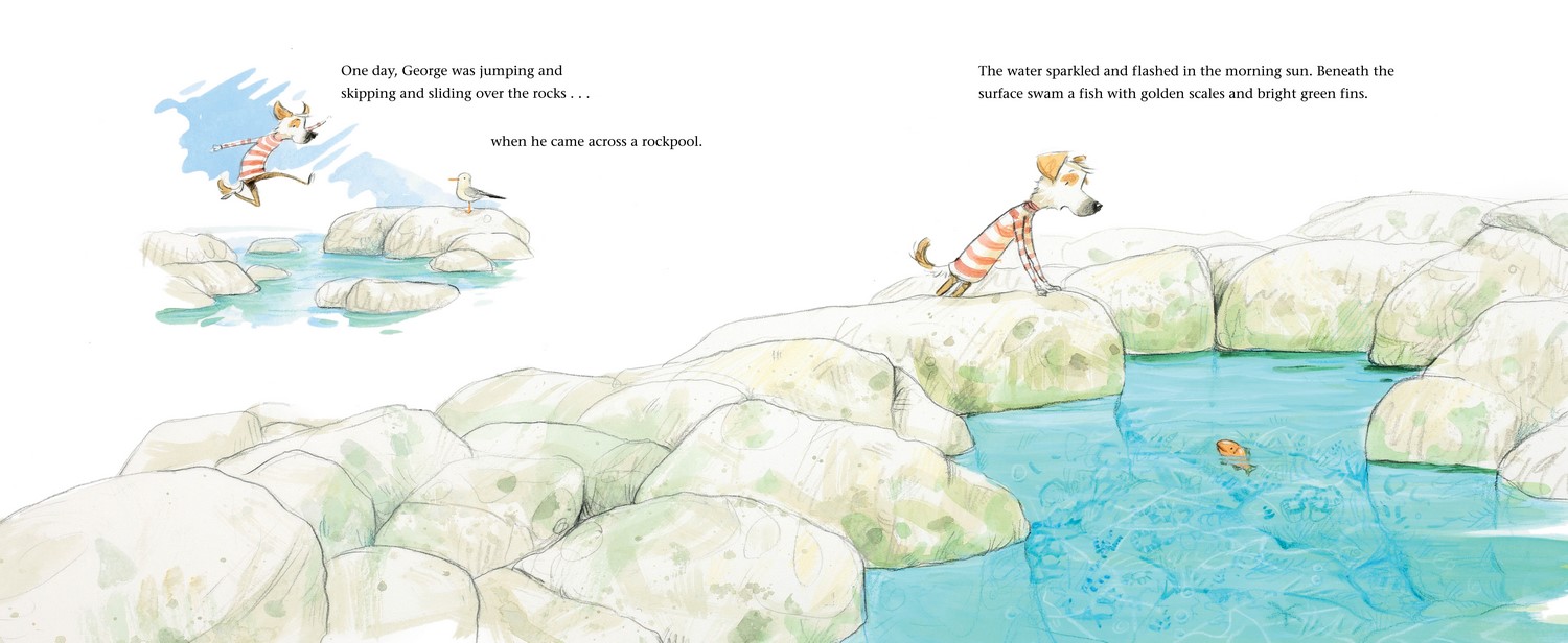 A Friend For George by Gabriel Evans | 9781761046506 | Booktopia