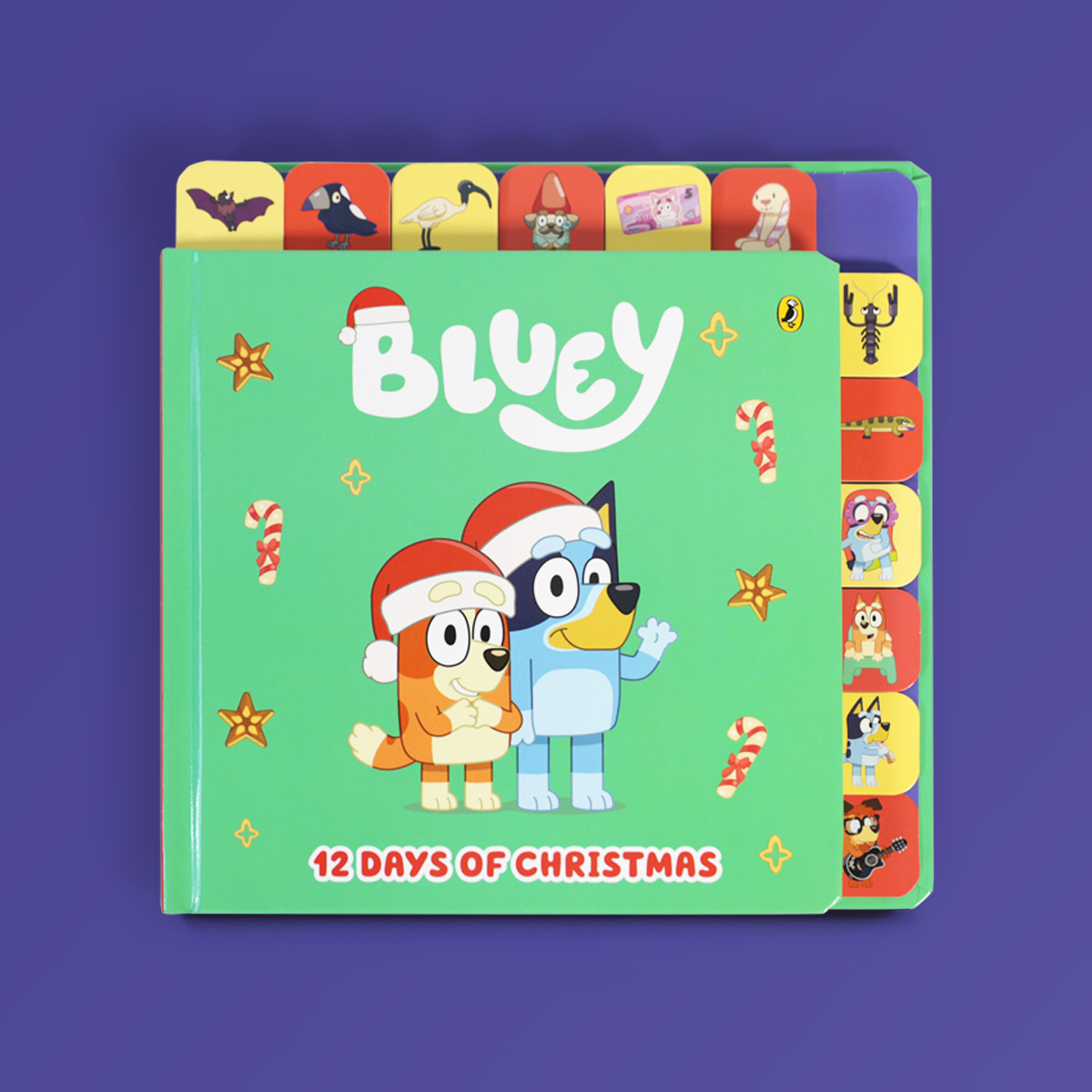 Bluey, 12 Days of Christmas by Bluey | 9781761047916 | Booktopia