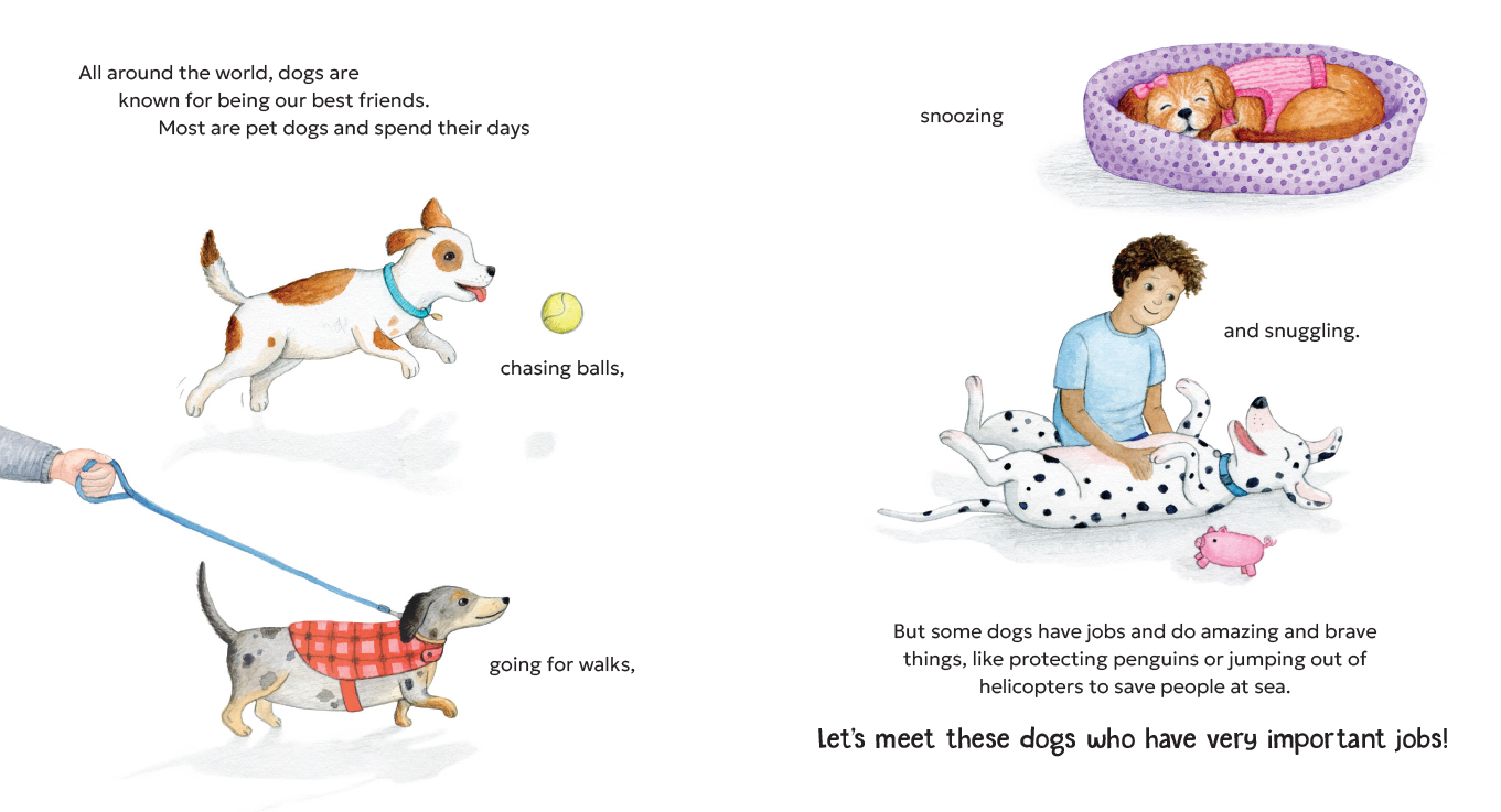 Dogs with Jobs by Max Hamilton | 9781761181016 | Booktopia