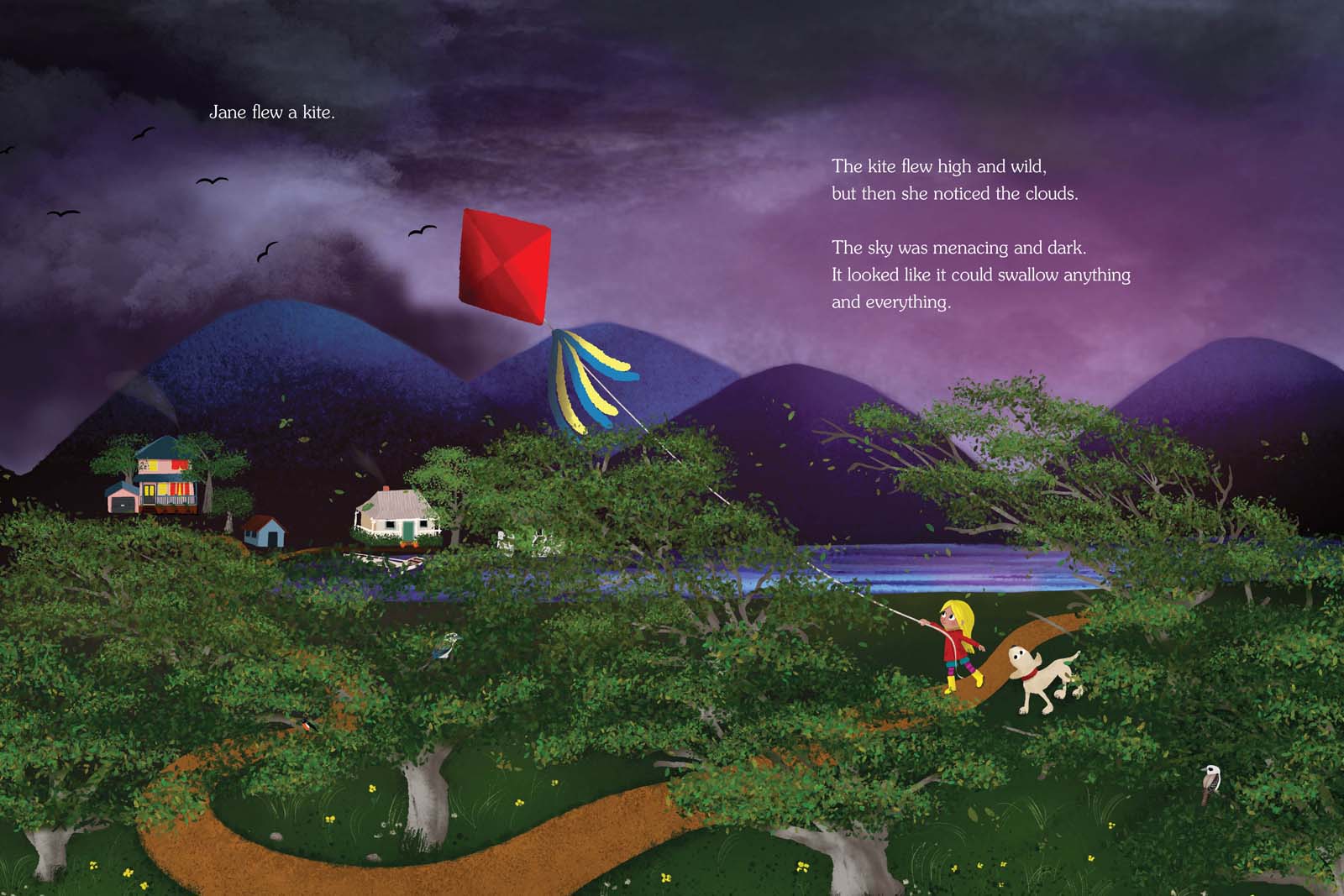 Storm by Jane Bunn | 9781761201721 | Booktopia