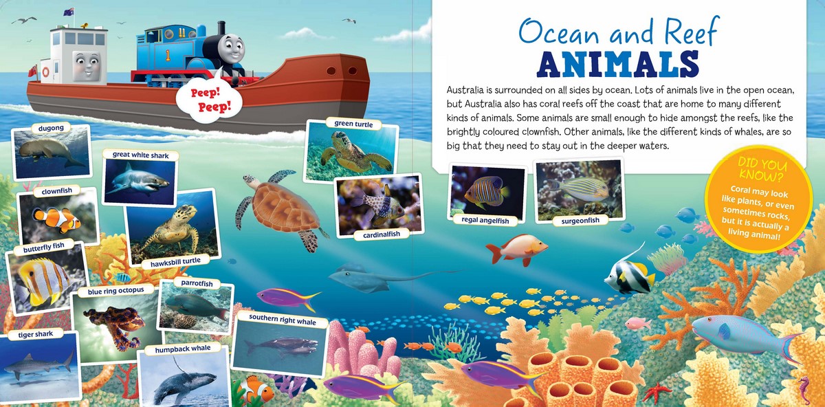 The Big Book of Australian Animals, Thomas and Friends by Thomas ...