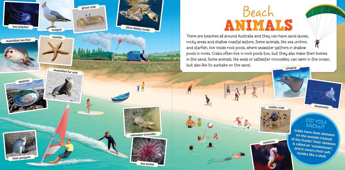 The Big Book of Australian Animals, Thomas and Friends by Thomas ...